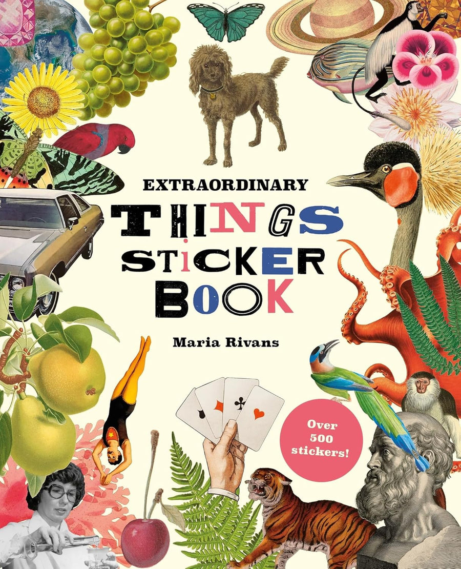 Extraordinary Things Sticker Book by Maria Rivans – South & Pine and ...